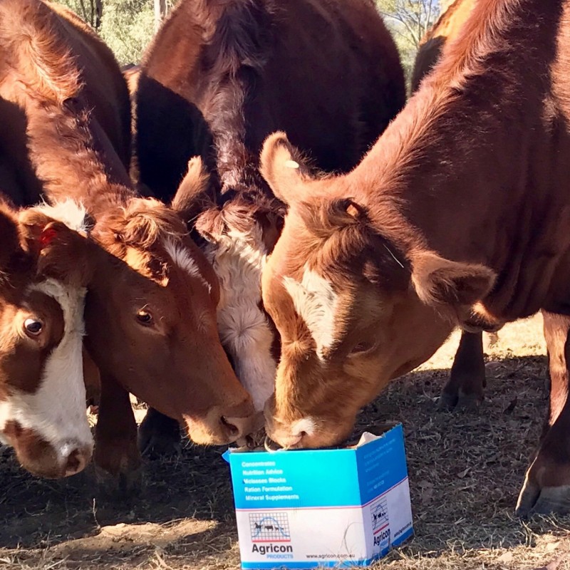 Grazing Dry Feed | Agricon Products