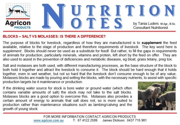 Blocks - Salt vs Molasses: Is There a Difference? | Agricon Products